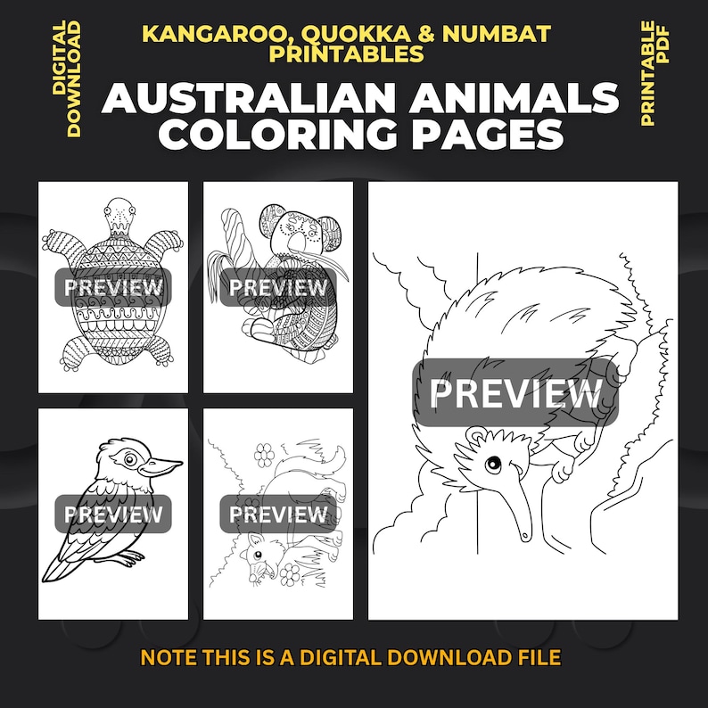 Australian Animals Coloring Pages Kangaroo, Quokka & Numbat Printables ...