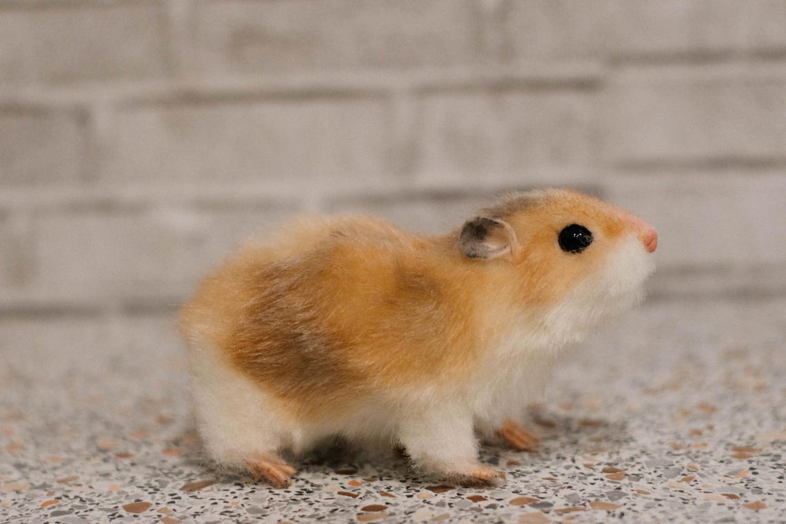 Handmade Hamster Plush: Poseable Furry Animal Doll - Etsy