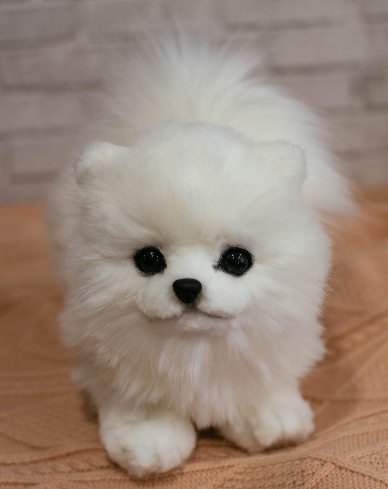 Pomeranian Plush Sewing Pattern: Realistic Faux Fur Toy (PDF Pattern ...