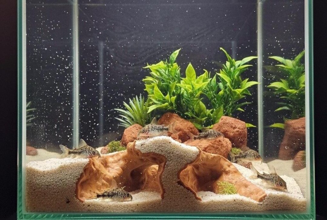 The Sunken Sierra: Realistic Aquarium Underwater Cave for Aquatic Life ...