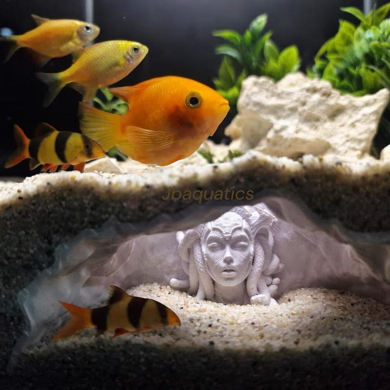 Medusa’s Lair Aquarium Hideout – Mythical Fish Cave Décor for ...