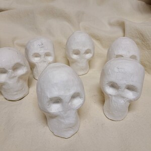 Six Plaster Skulls for Painting for Mexican Day of the Dead - Etsy
