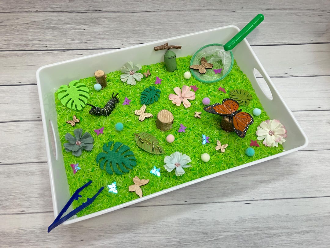 Butterfly Life Cycle Montessori Sensory Kit for Kids – Calm Down Box ...