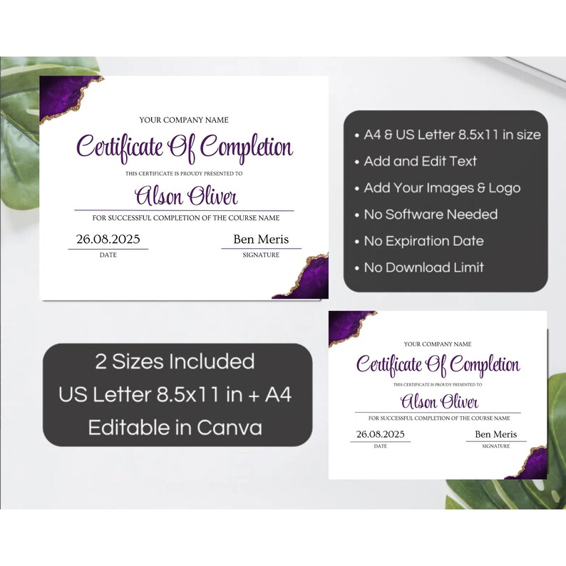 Editable Training Certificate Template: Eyelash Extension, Hairstylist ...