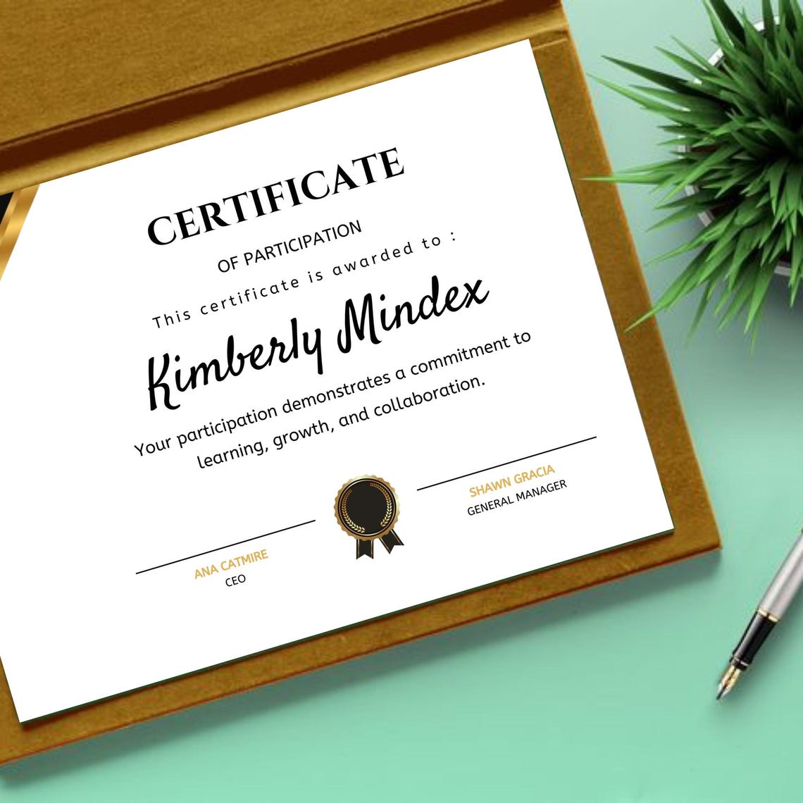 Editable First Flight Certificate Template: Printable Participation ...