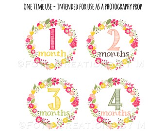 Baby Monthly Milestone Growth My 1st First HOLIDAY Stickers First Year ...