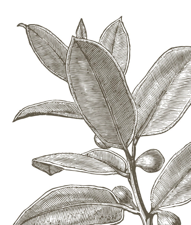 Botanical Prints Botanical Print Set Botanical Art Botanical Wall Art ...