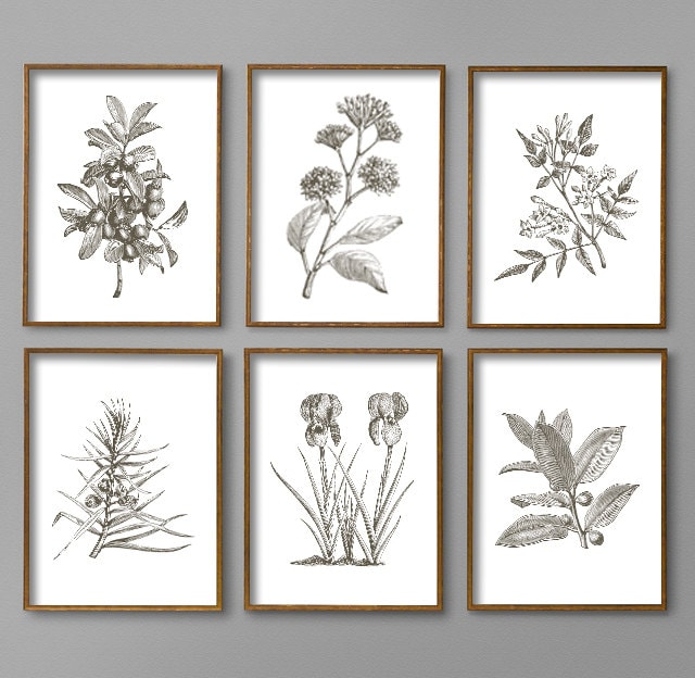 Botanical Prints Botanical Print Set Botanical Art Botanical Wall Art ...
