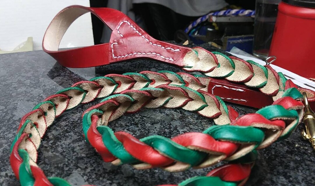 Handmade Braided Leather Dog Leash Finished in Green and Red for ...