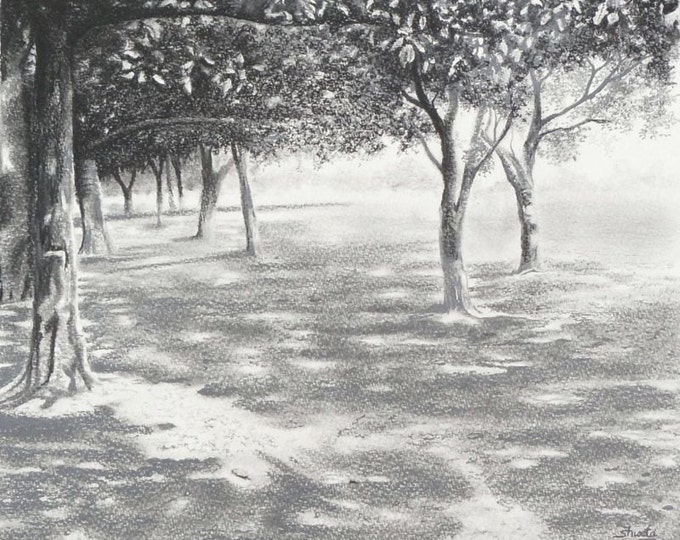 Tree Grove Charcoal Drawing - Etsy