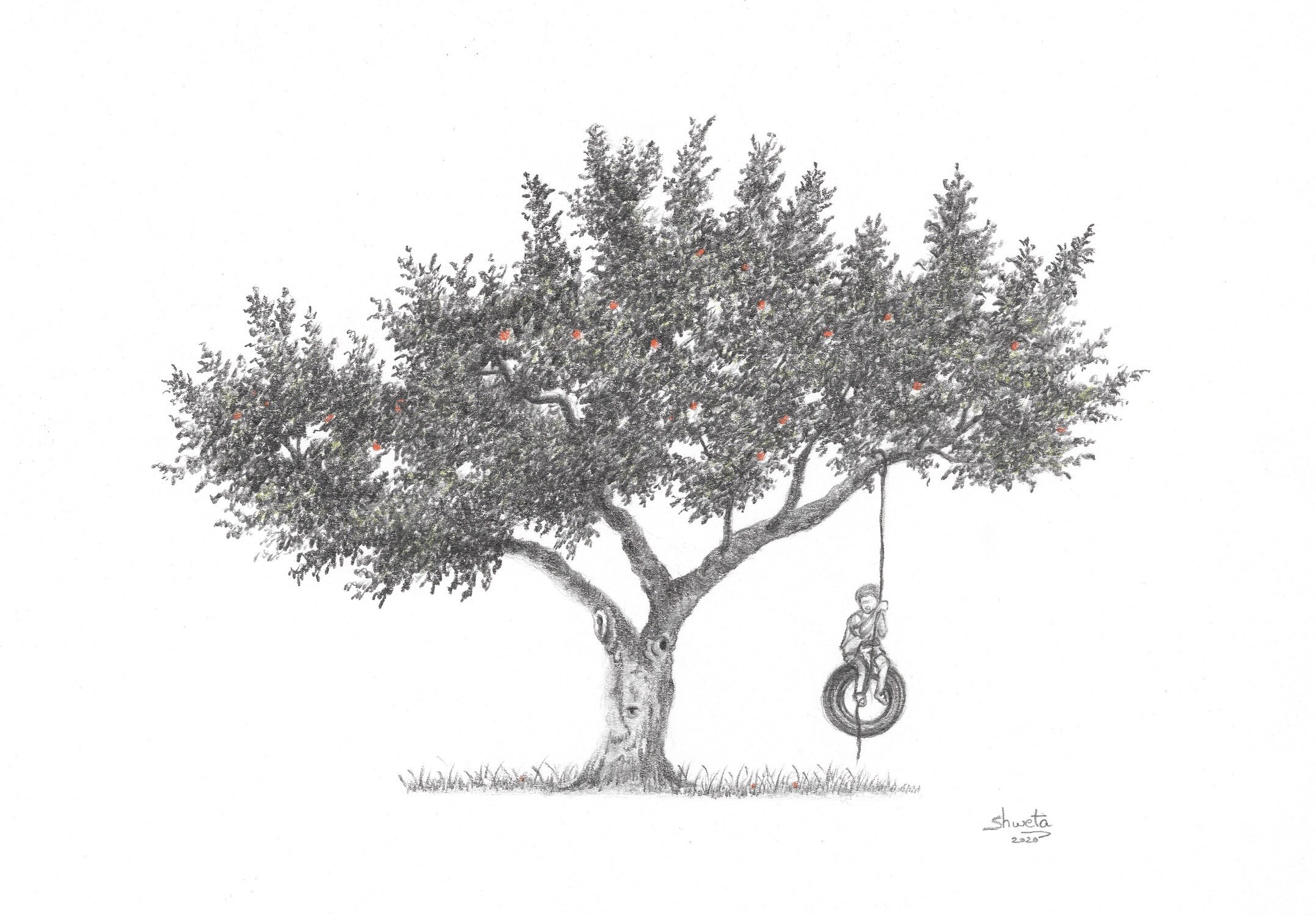 Apple Tree Pencil Drawing