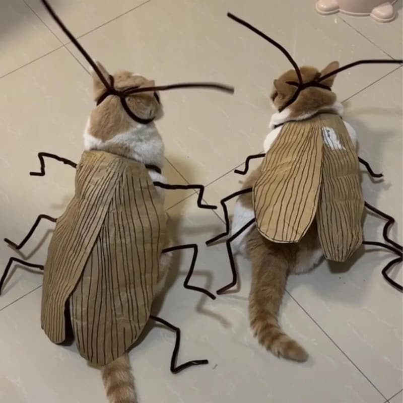 Cockroach Costume - Etsy