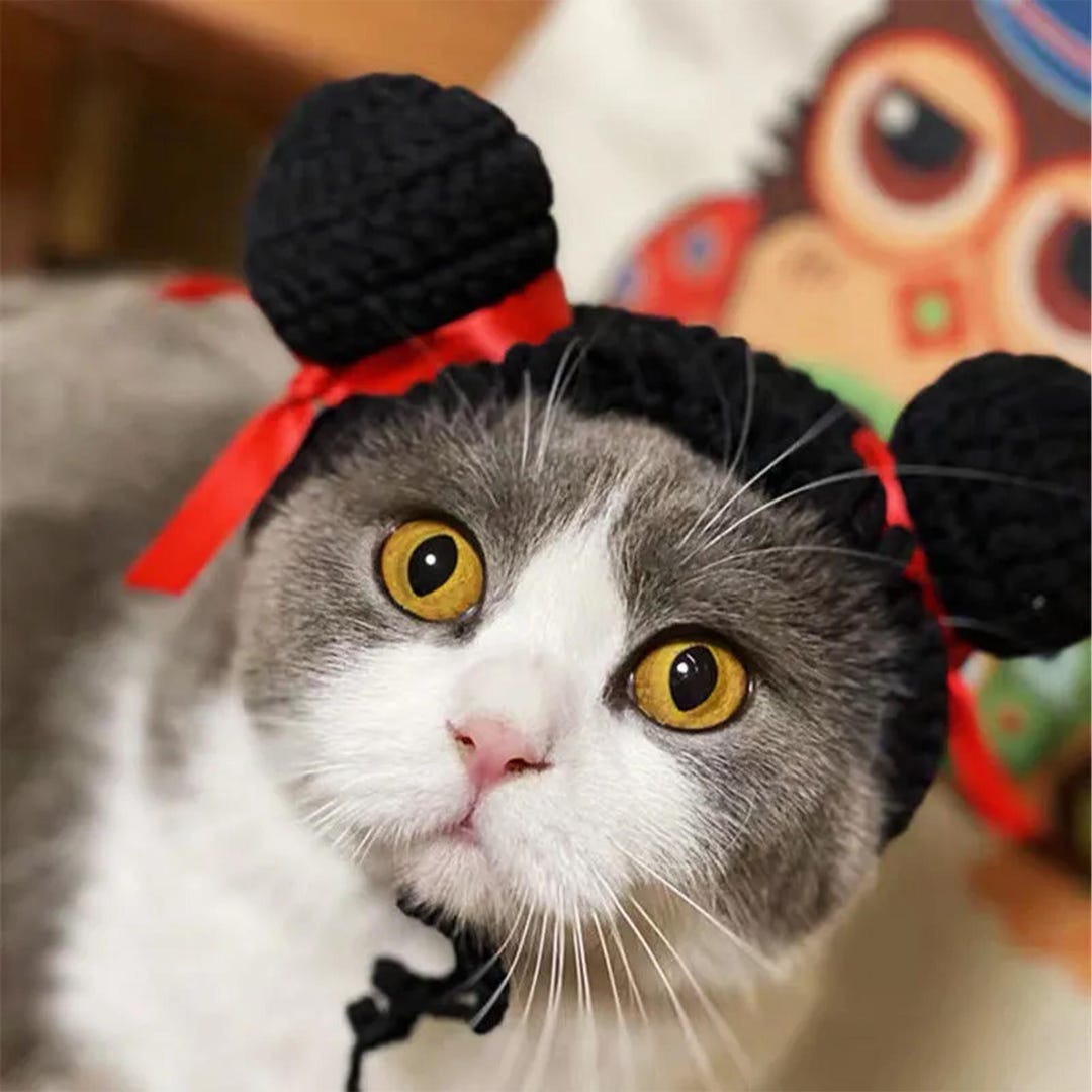 Crochet Cat Bun Hat: Chinese Style Pet Cosplay With Red Ribbon - Etsy