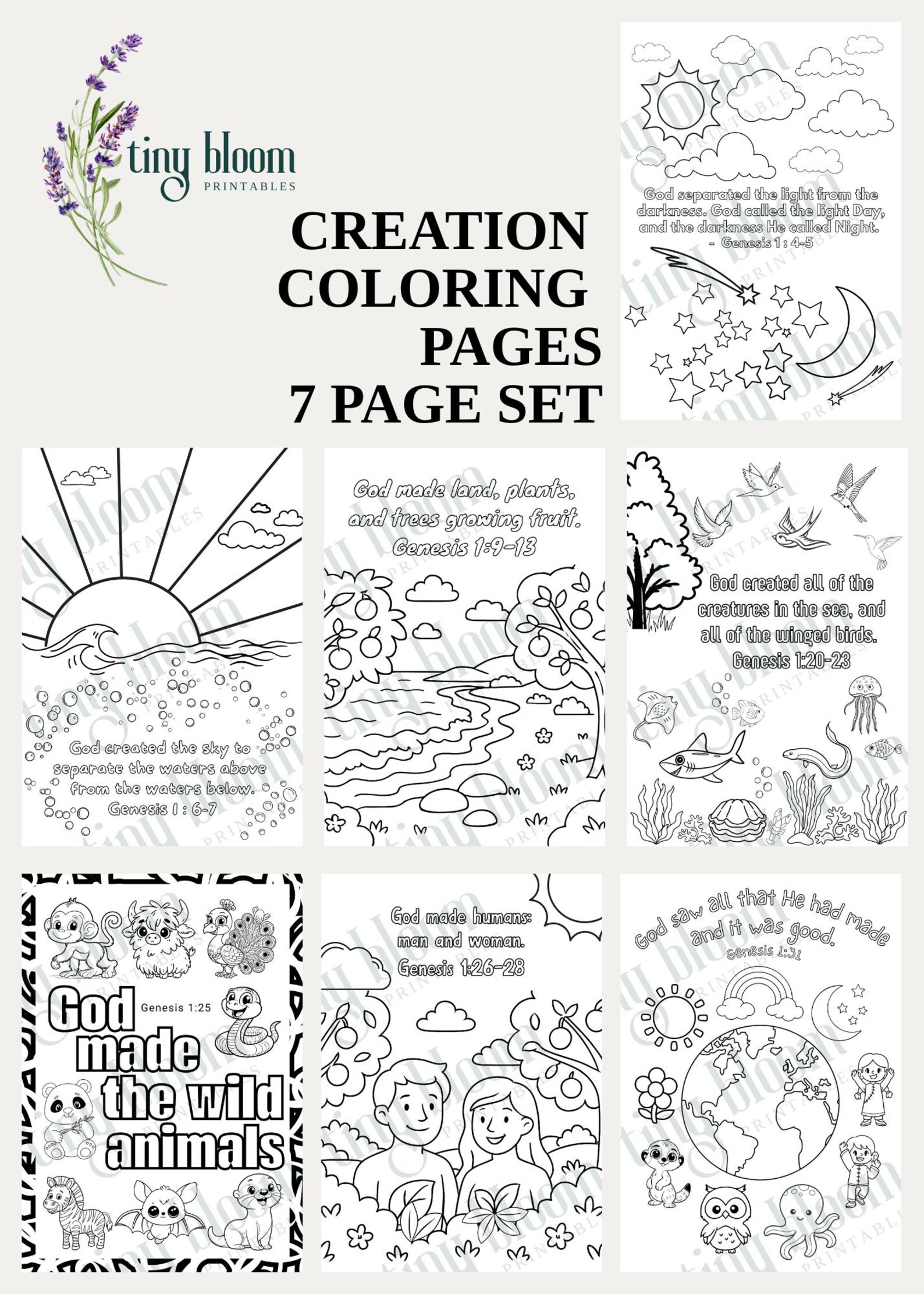 Creation Coloring Pages for Kids | Set of 7 | Digital Download - Etsy