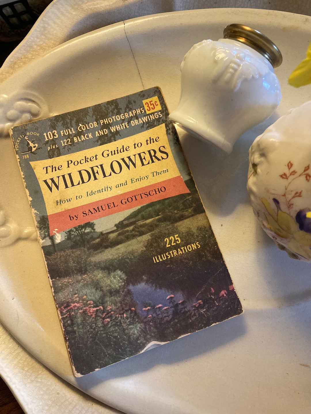 Book Pocket Guide to Wild Flowers 1951 Reference Book Photographs ...