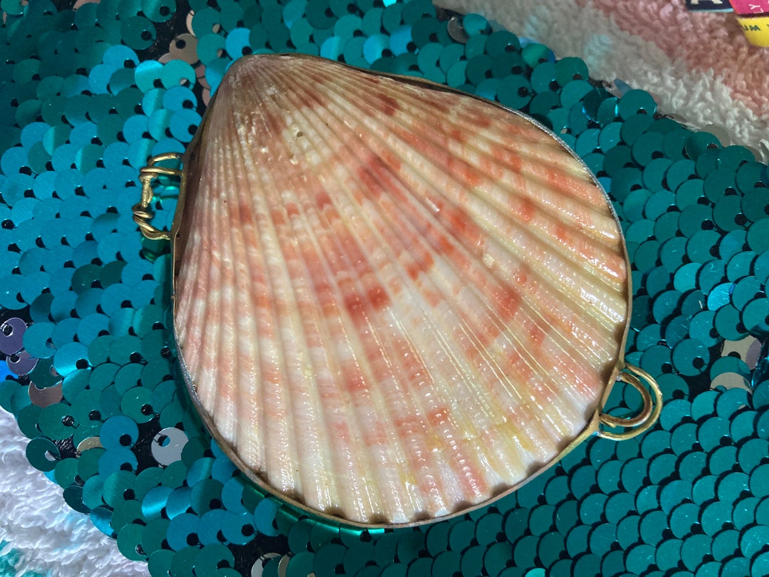 Vintage Scallop Shell Coin Purse Brass Frame Clasp Pendant Peach Cream ...