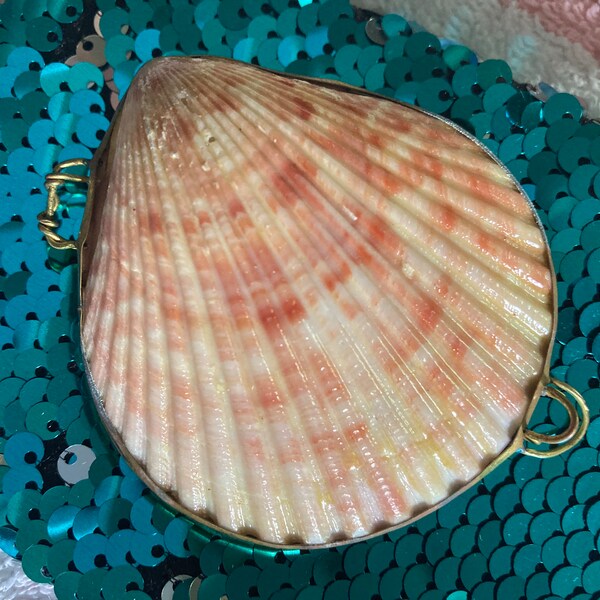 Shell Coin Purse - Etsy