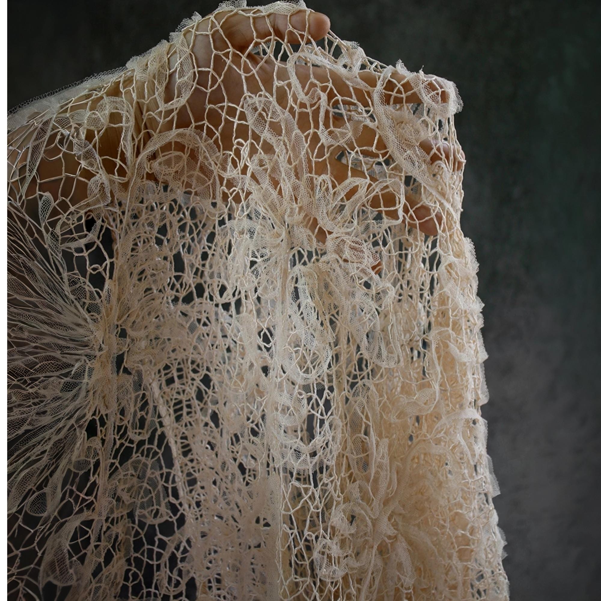 Textured Beige Embroidered Mesh - Original Openwork Sheer Fabric for ...