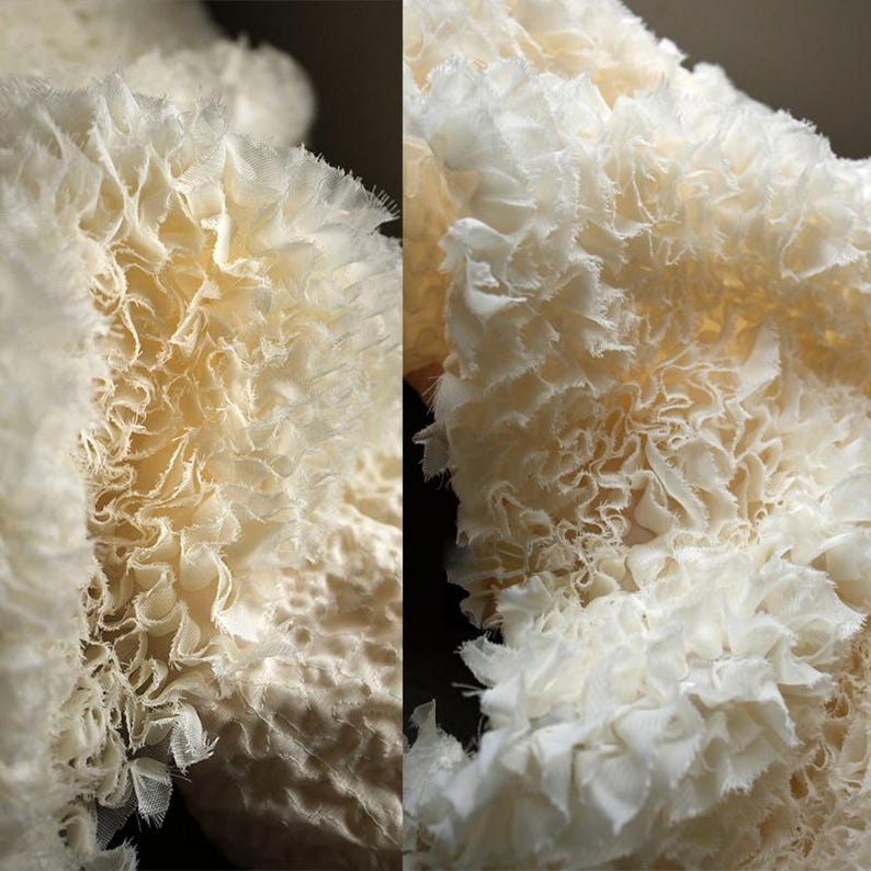 Coral Reef Textured Fabric, Sand Beige 3D Material, Upcycled Designer ...