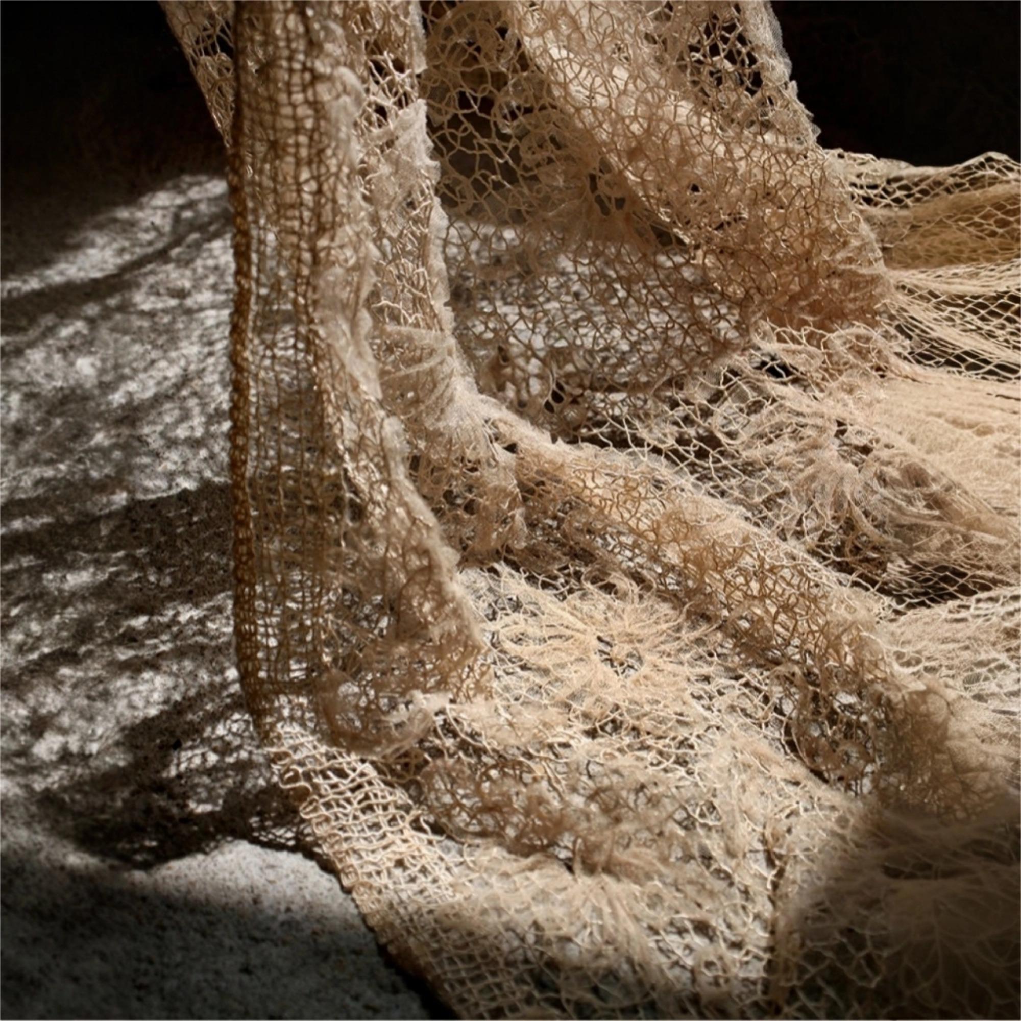 Textured Beige Embroidered Mesh - Original Openwork Sheer Fabric for ...