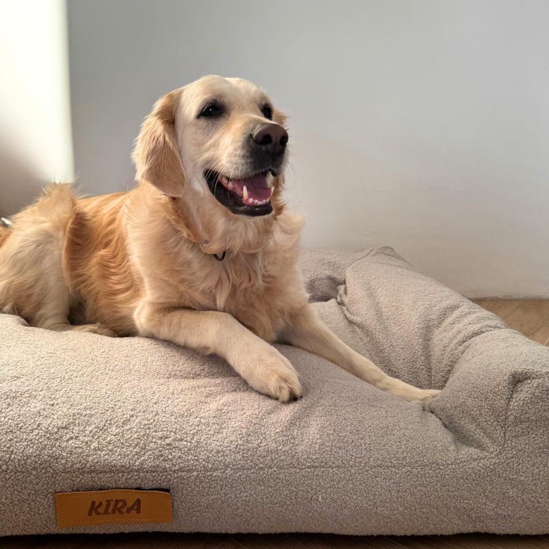 Personalized Dog Bed – Teddy Bouclé Pet Sofa, Breed Bed With Removable ...