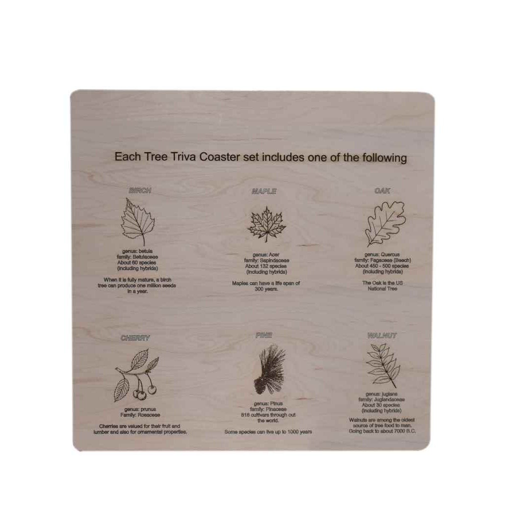 Tree Trivia Coasters Coasters Trees Along the East Coast - Etsy