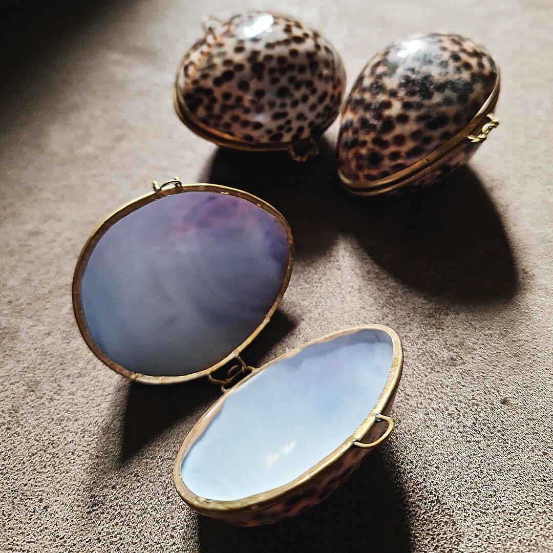 Vintage Cowrie Shell Box - Shells - 1970s - Wallet - Etsy