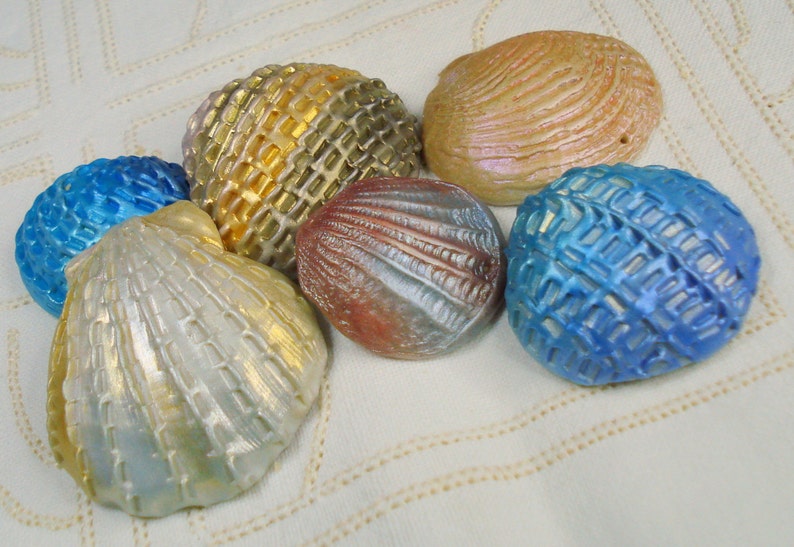 SEA SHELLS Tutorial 100 Colorful Photos Create Your Own Sea ...