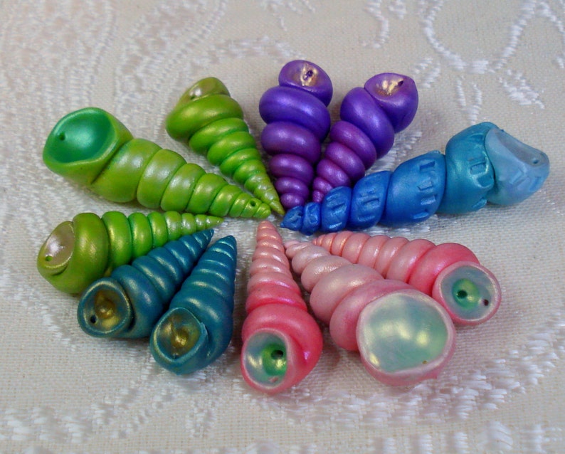 SEA SHELLS Tutorial 100 Colorful Photos Create Your Own Sea ...