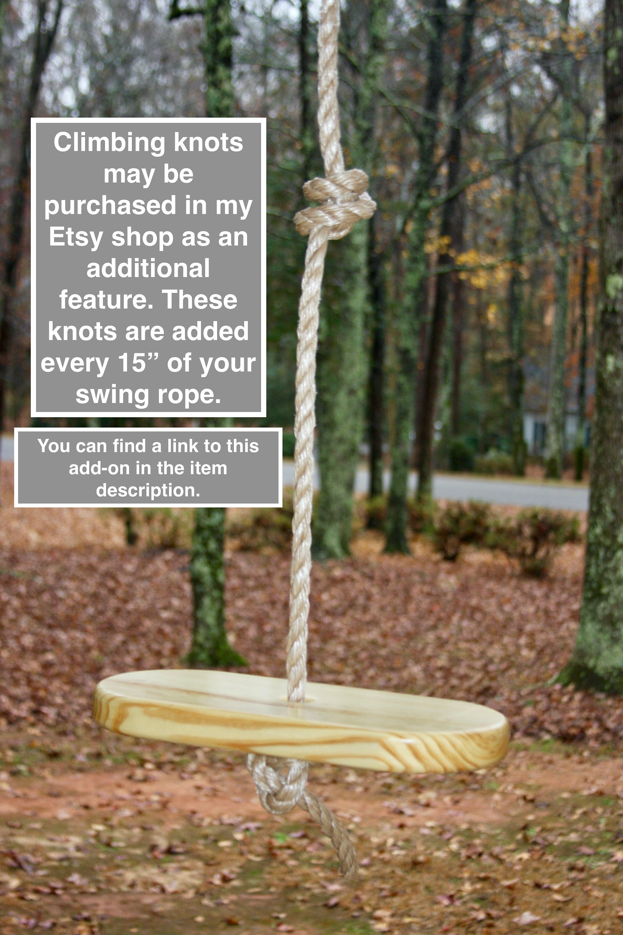 Handcrafted Wooden Disc Tree Swing, Natural or Charred, Rope Included ...