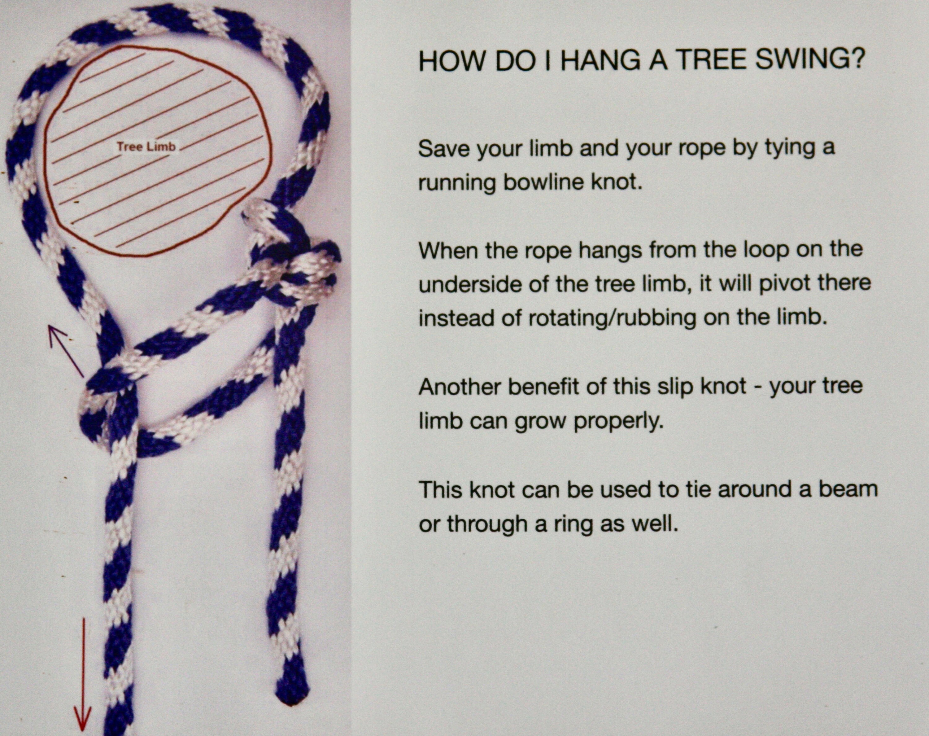 Handcrafted Wooden Disc Tree Swing, Natural or Charred, Rope Included ...