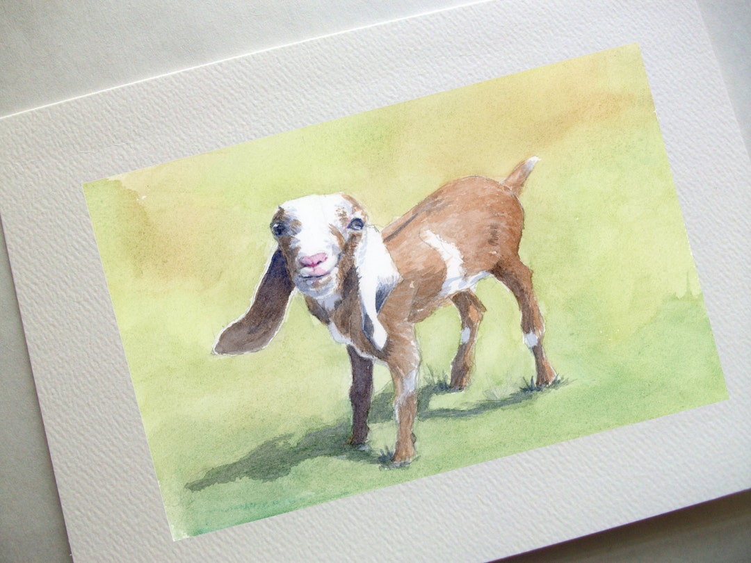 Tripp's First Day Goat Card - Etsy