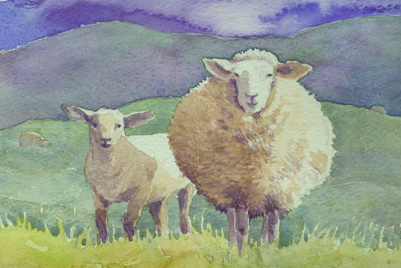Fat Sheep 8x10 Matted Reproduction - Etsy
