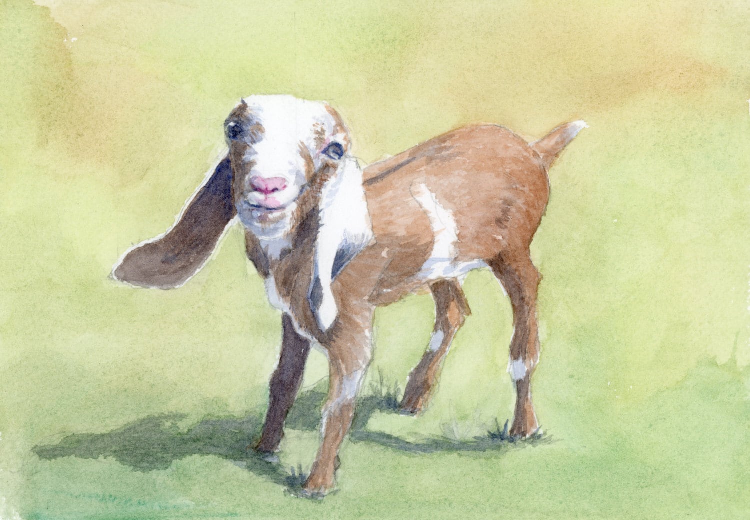 Tripp's First Day Goat Card - Etsy