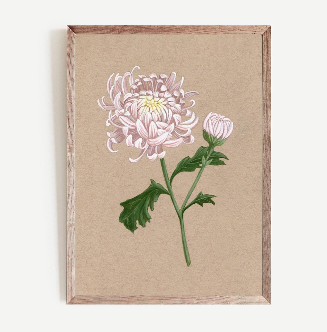 November Chrysanthemum Birth Flower Art Print Gift for Scorpio ...