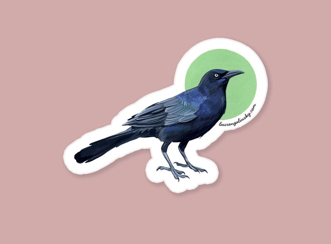 Grackle Sticker Vinyl Waterproof Austin Sticker Texas Bird Lover Gift ...