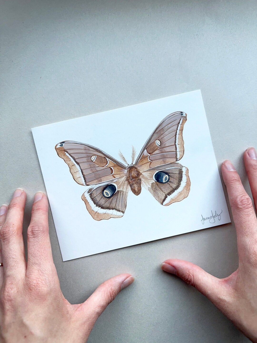 Polyphemus Moth Original Painting Gouache Artwork Gift for Insect ...