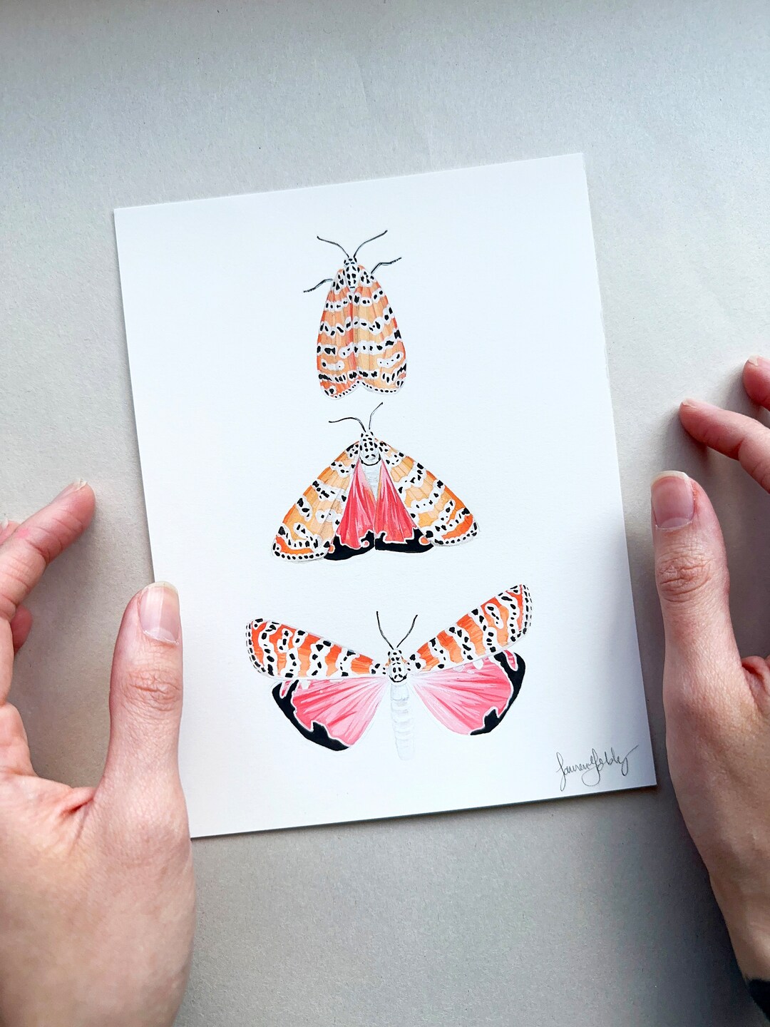 Bella Moths Painting Original Artwork Moth Trio Butterfly Painting Gift ...