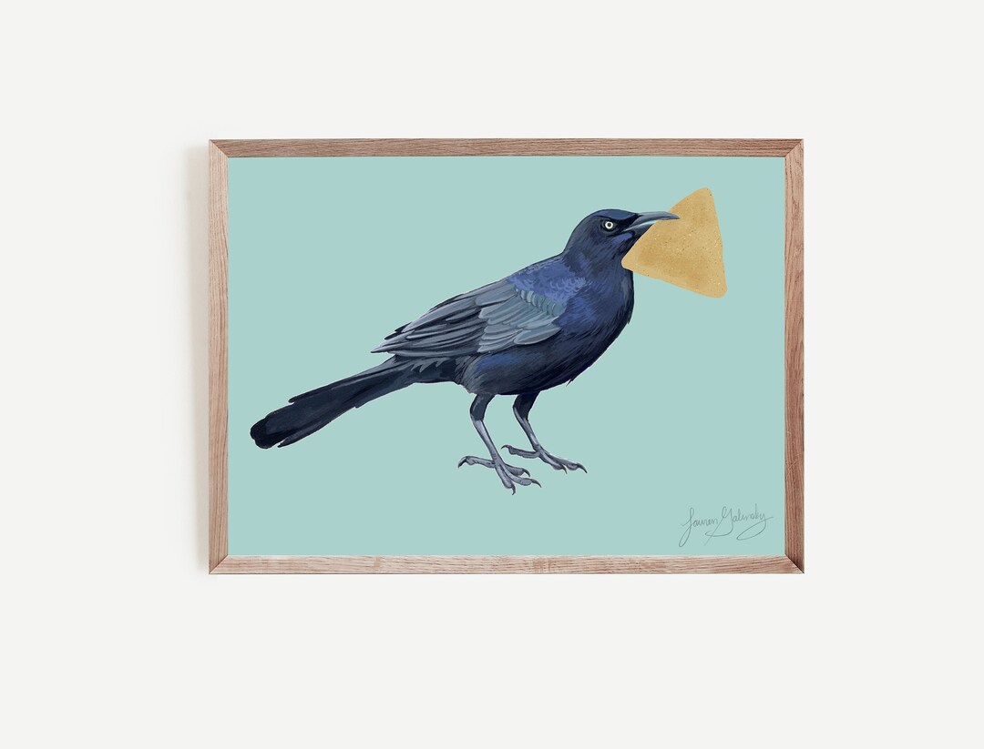 Grackle Art Print Austin Bird Painting Texas Wall Art Gift for Bird ...