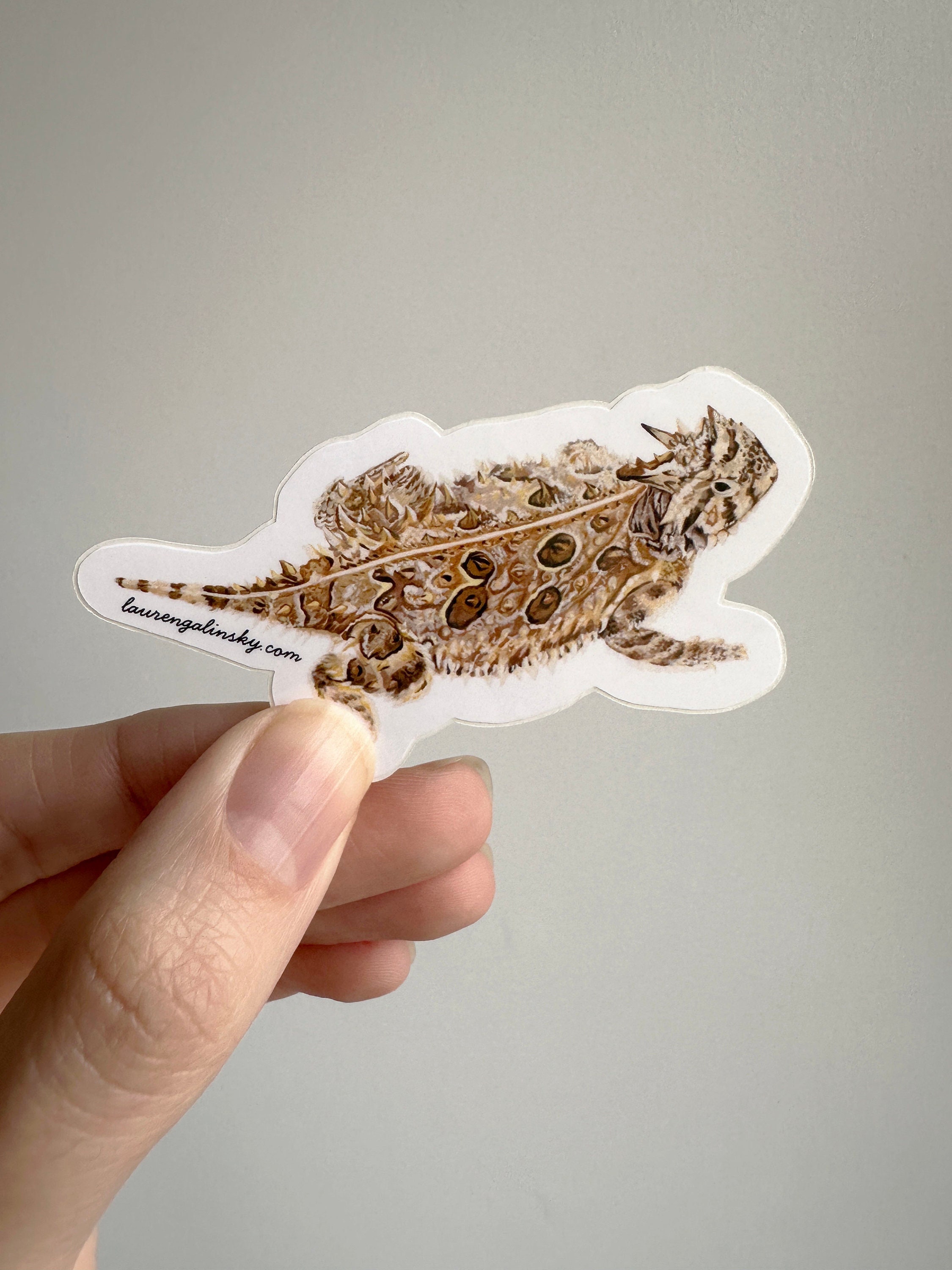 Horned Lizard Sticker Waterproof Desert Wildlife Reptile Horny Toad ...