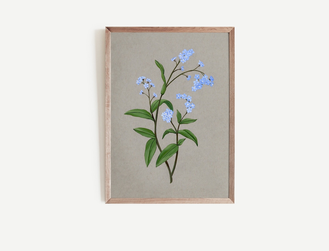 Forget Me Not Flower Art Print Remembrance Gift in Memory of ...