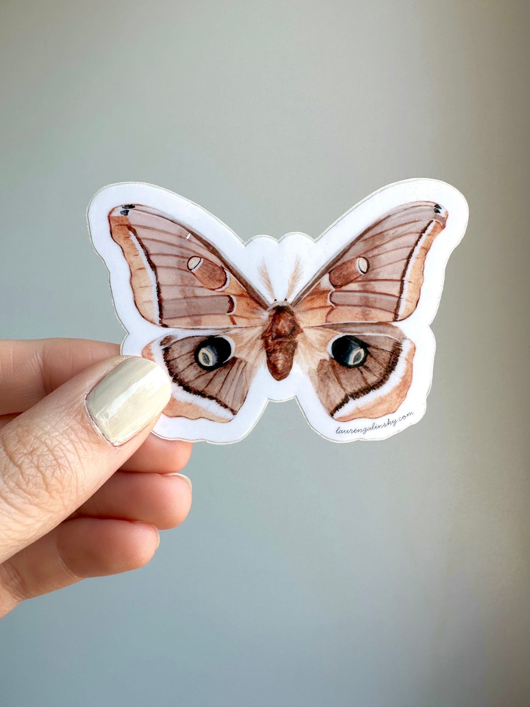 Polyphemus Moth Sticker Brown Butterfly Sticker Nature Insect Themed ...