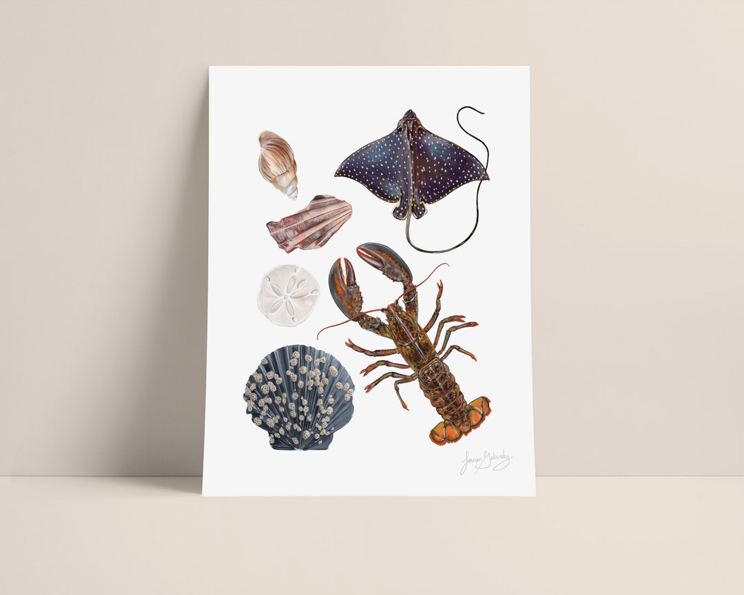 Sea Animal Ocean Life Art Print Illustrations of Water Animals - Etsy