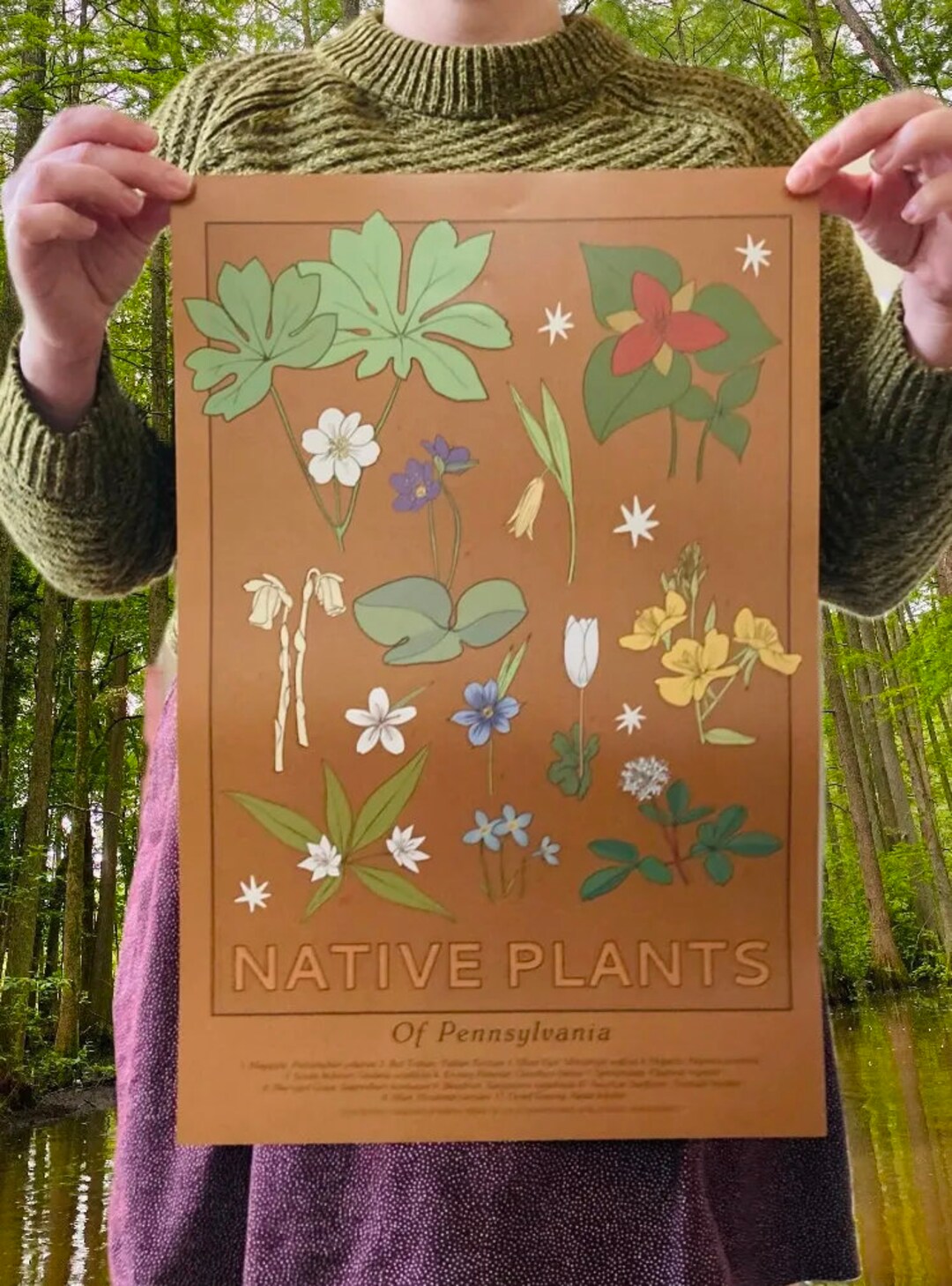 Native Plants Poster 12"x18" - Etsy