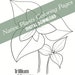 DIGITAL DOWNLOAD Native Plants Coloring Pages - Etsy