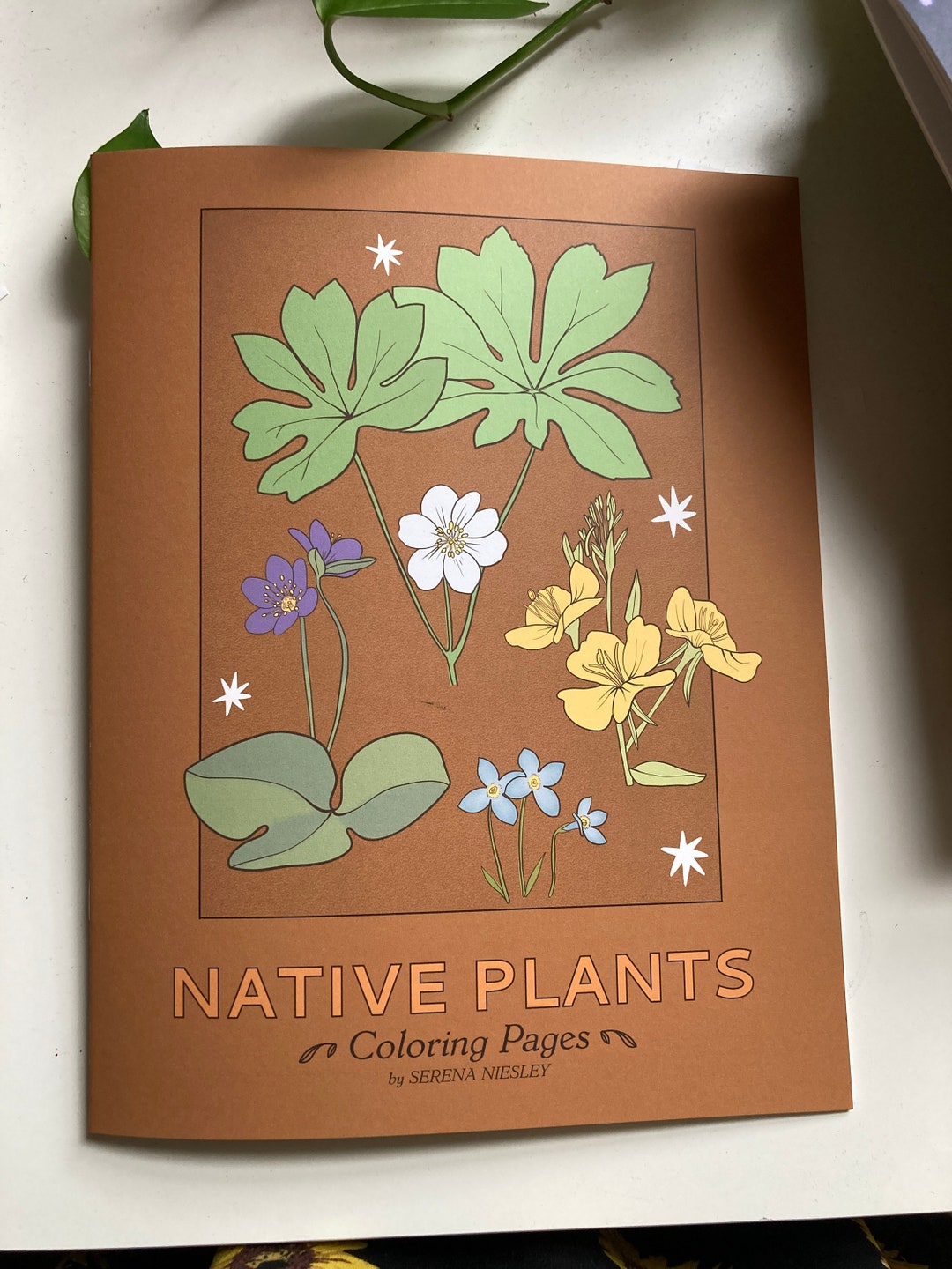 Native Plants Coloring Pages - Etsy
