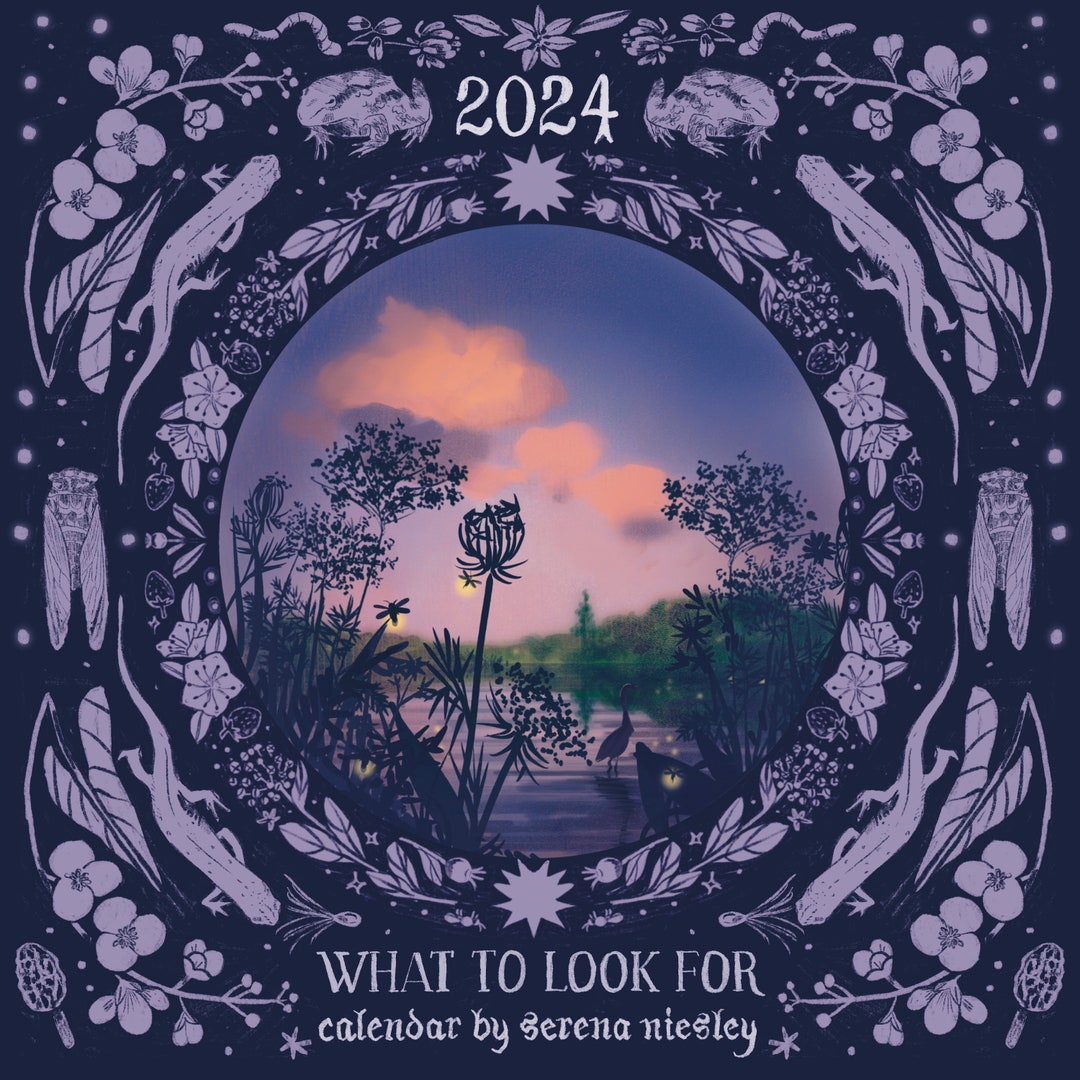 What to Look for Calendar 2024 Nature Calendar - Etsy