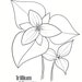 DIGITAL DOWNLOAD Native Plants Coloring Pages - Etsy