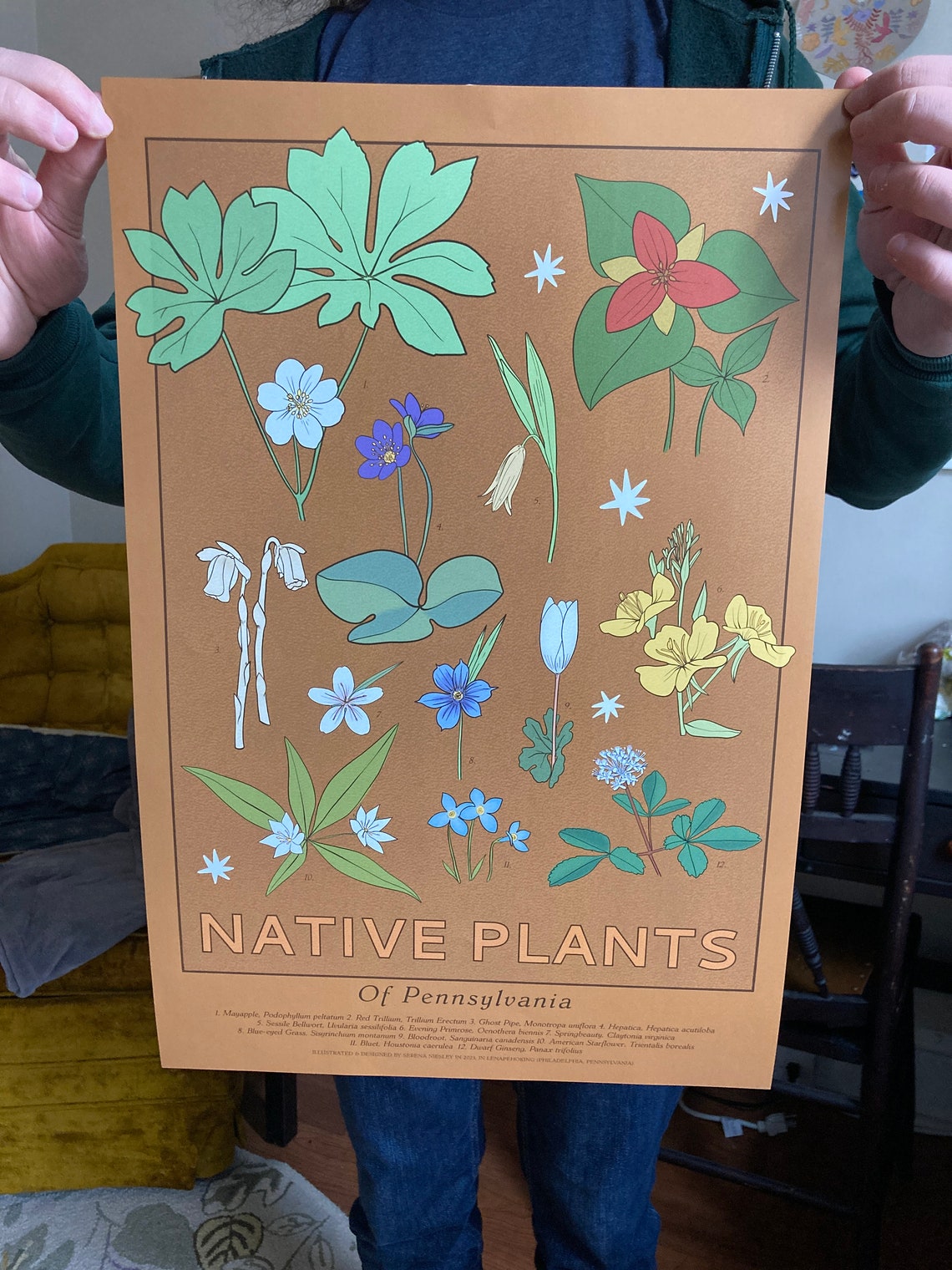 Native Plants Poster 12"x18" - Etsy