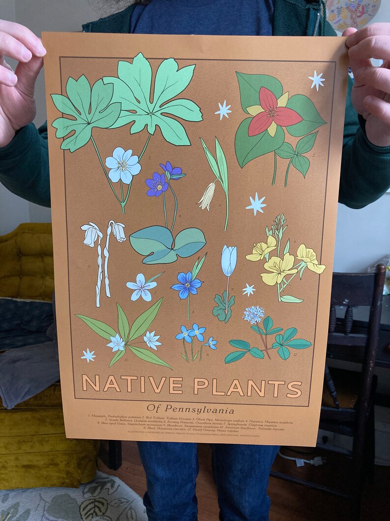 Native Plants Poster 12"x18" - Etsy